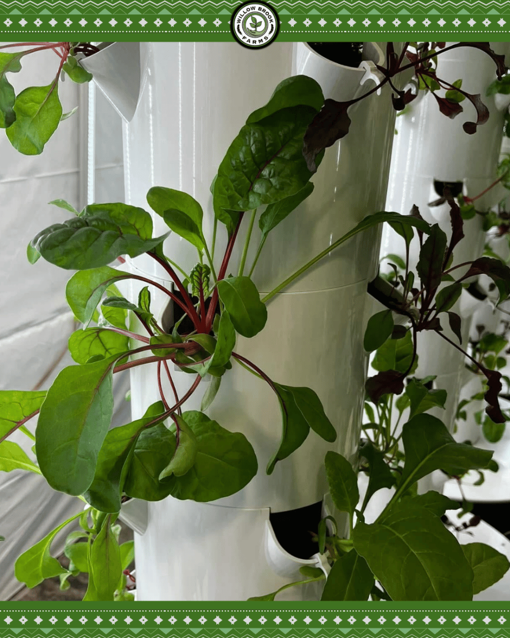 Gallery - Willow Brook Farms